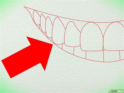 Cómo Dibujar Dientes 11 Pasos Con Imágenes Wikihow