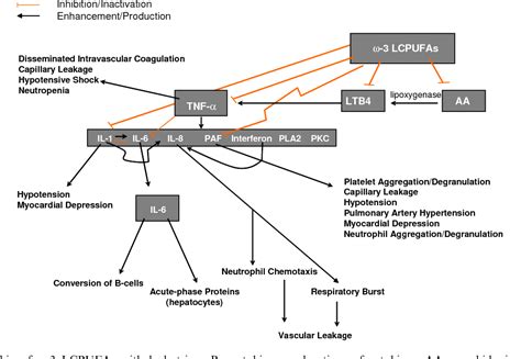 Retinal Neovascularization Semantic Scholar