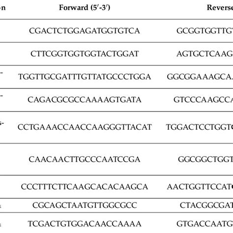 Gene Name Abbreviation Pathwayfunction Primer Pair Genbank