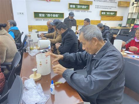 苏州漕湖：党建引领趣味手工 压花台灯暖人心中国江苏网