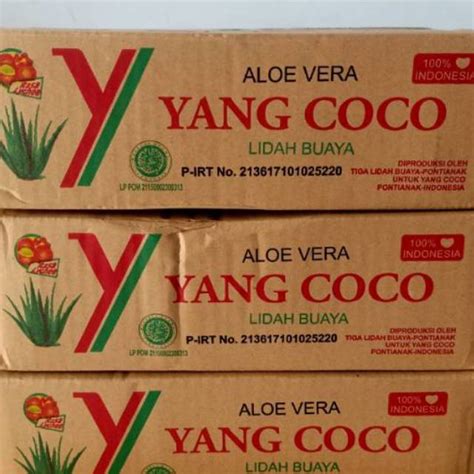 Jual Minuman Instant Yang Coco Lidah Buaya Aloe Vera Yang Coco 1 Dus