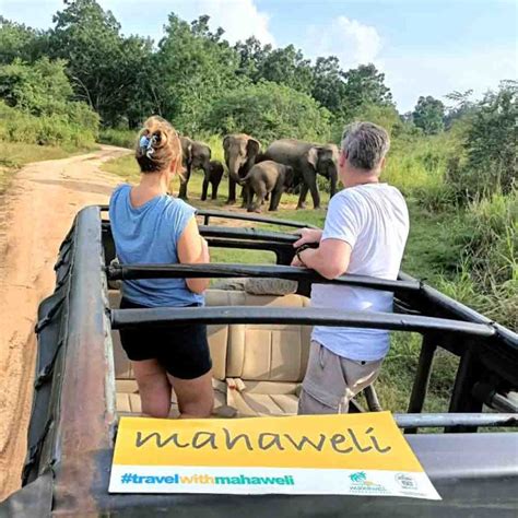 Round Tours Mahaweli Tours Holidays