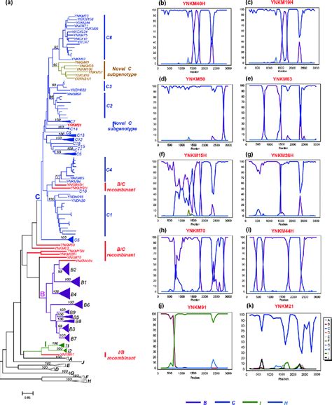 Phylogenetic And Recombinant Analyses Based On Full Length Hbv Genome