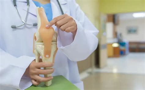 What Is Orthopedics Definition Types And More