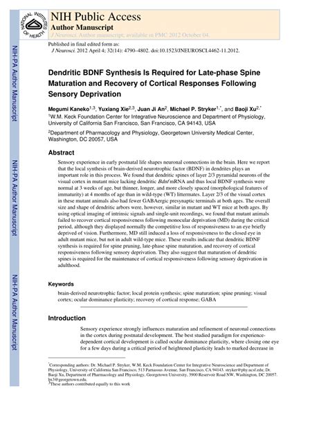 Pdf Dendritic Bdnf Synthesis Is Required For Late Phase Spine