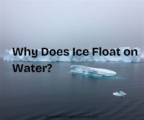 Why Does Ice Float On Water Decoding Biosphere