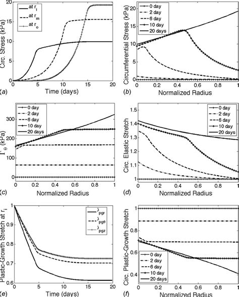 Evolution Of The Local Circumferential Stress A And B