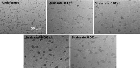 Microstructures Of Samples Deformed To A Strain Of 20 At Strain Rates