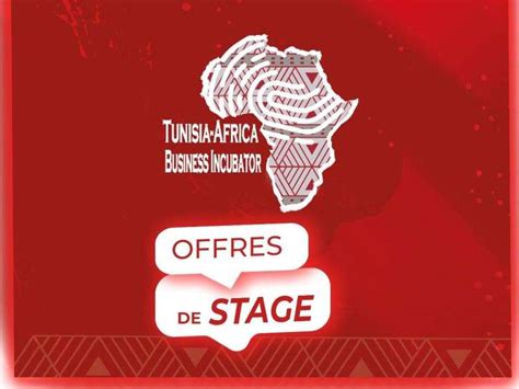 Tabc Recrute [ Stage] Offres Demploi