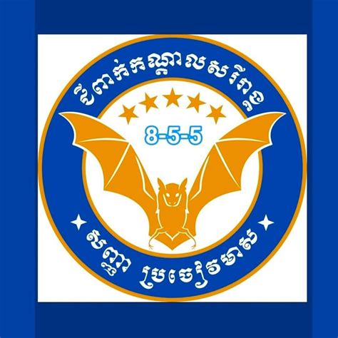 ទាហានទាំងនេះជាទាហានប៉ារ៉ារបស់ថៃ ពួកគាត់ទើបនឹងចុះពីឆ័ត្រយោង រាប់ពាន់នាក់ មករាយបន្លាលស់