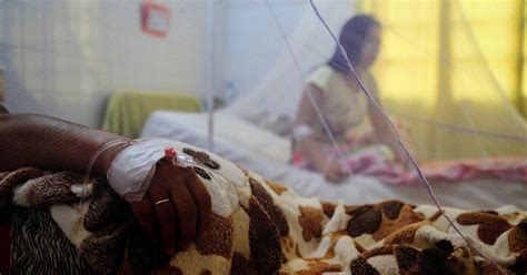 Inusitado aumento de los casos de dengue en Bolivia hay tres muertos en el este del país