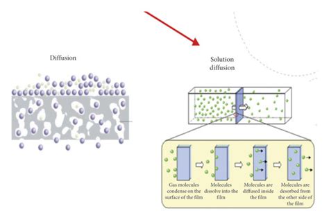 Schematic View Of A Dense Polymeric Membrane B Fixed Site Carrier