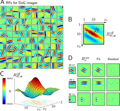 rfs of the model column if natural images are used as input a
