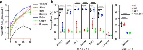 replication ability and entry phenotype of sars cov 2 in calu 3 cells a