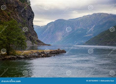 Aurlandsfjord Fjord Landscape Norway Scandinavia Stock Image Image