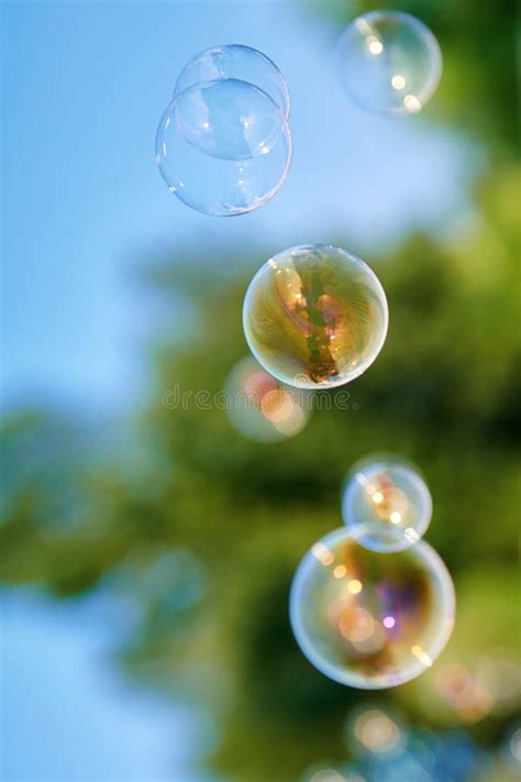 Belas Bolhas De Sabão Fundo Num Dia Ensolarado Foto de Stock Imagem