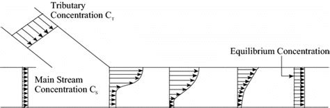 Conceptual Sketch Of Transverse Mixing Process Download Scientific