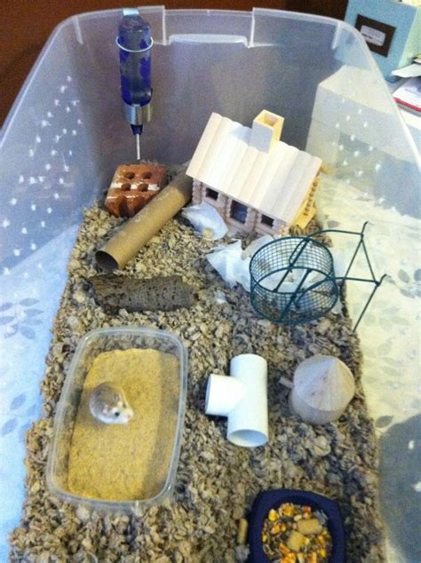 Roborovski Hamster Cages