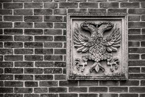 무료 이미지 새 검정색과 흰색 화이트 조직 창문 늙은 독수리 대조 검은 단색화 자료 상징 풍화 된 Bw 미술 깃털 날개 대칭 벽돌 세공