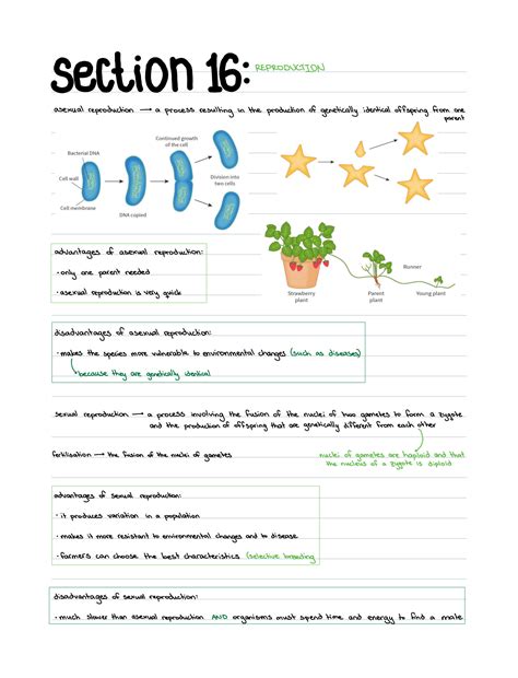 SOLUTION Cie Igcse Biology Section 16 Reproduction Studypool