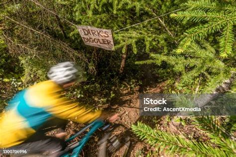 산악 자전거 타는 사람은 아침에 숲이 우거진 길을 따라 타다 25 29세에 대한 스톡 사진 및 기타 이미지 25 29세 개성 개념 건강한 생활방식 Istock