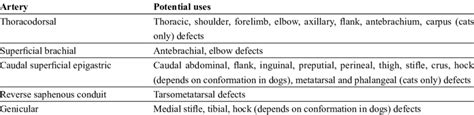 Axial Pattern Flaps On Limbs Download Table