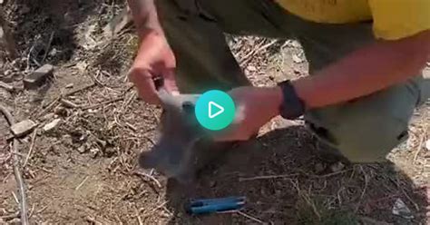 Point Prank Album On Imgur