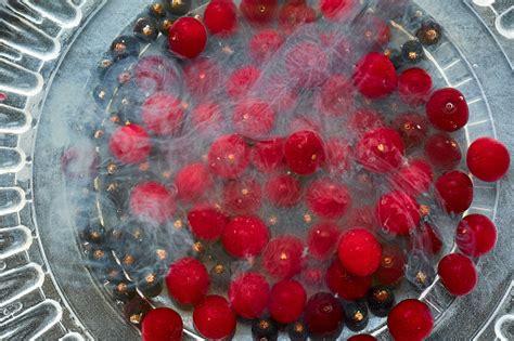 잘 익은 블랙베리 스트로크 체리 붉은 건포도 라스베리와 구 즈 베리 딸기와 과일 믹스 최고의 볼 수 있습니다 배경 열매 그리고 과일입니다 다양 한 신선한 여름 과일입니다 0