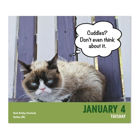 Funny Grumpy Cat Memes Frozen Funny Grumpy Cat Memes Frozen