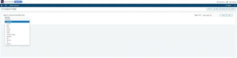adding a custom field in sage intacct