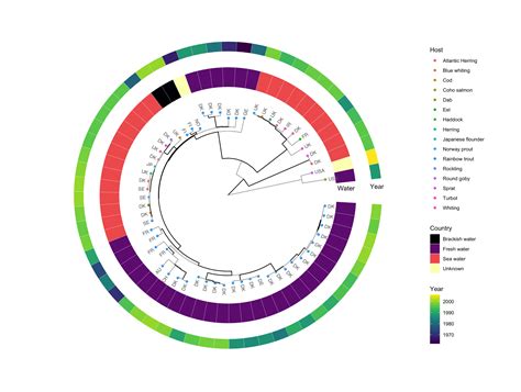 creating a publication quality phylogeny using ggtree arafat rahman