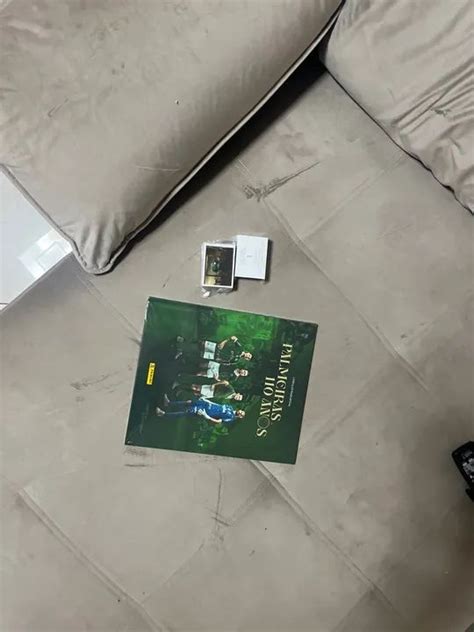 Álbum de Figurinhas Palmeiras 110 Anos Capa Dura Completo para colar