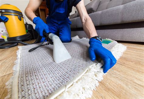 Discover The Top Benefits Of Professional Carpet Cleaning Services