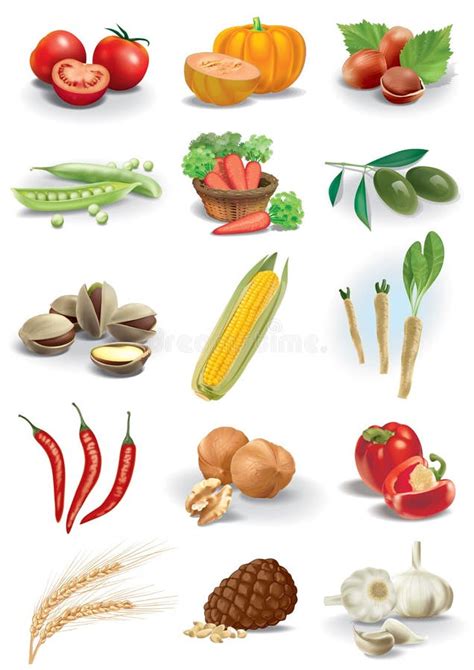 Noix Et Esp Ces De L Gumes Illustration Stock Illustration Du