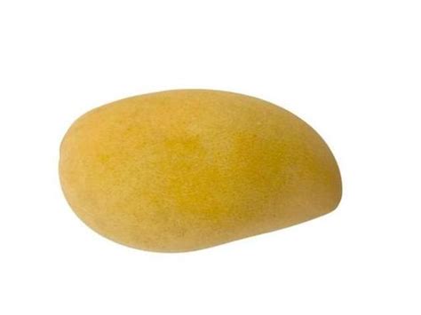 Dataset Of Mango Roboflow Universe