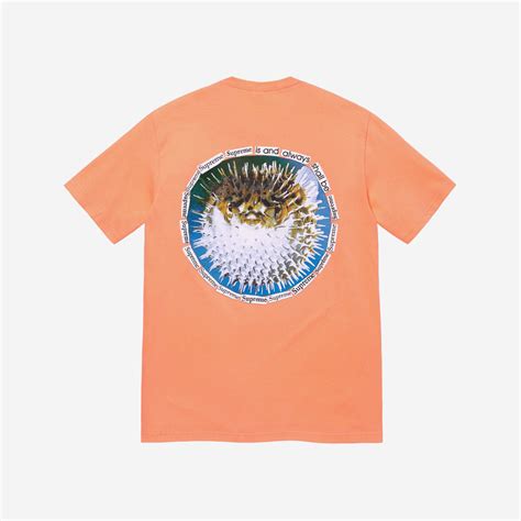 슈프림 블로우피쉬 티셔츠 피치 23ss Supreme Kream
