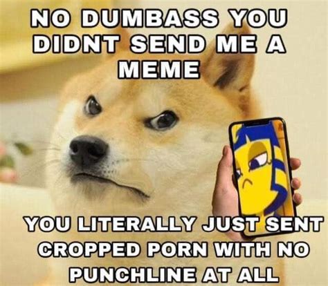 No Dumbass You Didnt Send Me A Meme You Literally Just Sent Cropped P