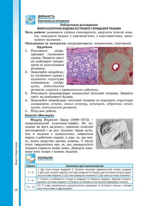 Кістки хрящі Зєднання кісток