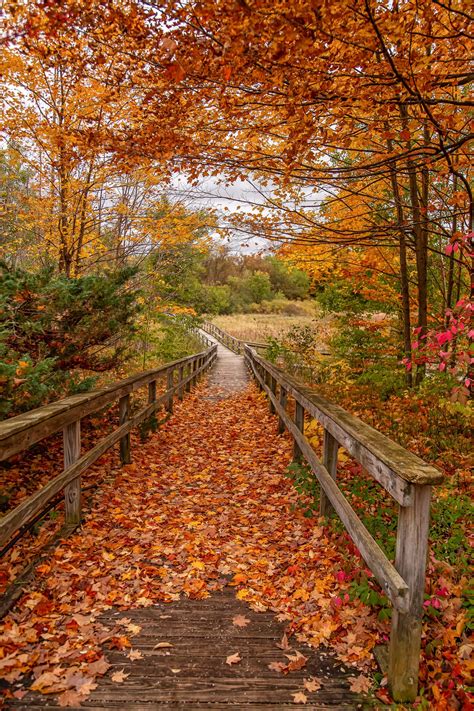 Fall Day Walk