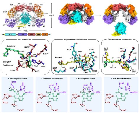 上海交大邓子新团队合作成果获得nature Chemical Biology专栏评述 科研动态 上海交通大学生命科学技术学院