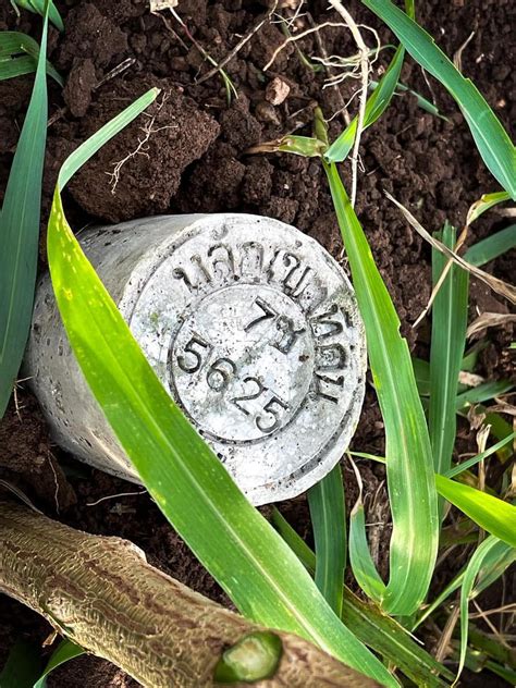 รังวัดแบ่งแยก ปักหมุด ขุดท่อน้ำ หญิงอัญ ขายที่ดิน ลพบุรี Facebook