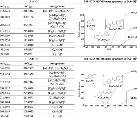 Fragments Observed Following Higher Energy Collisional Dissociation
