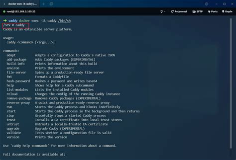 超越 nginx，号称下一代 web 服务器，用起来够优雅~ caddy和nginx性能对比 csdn博客
