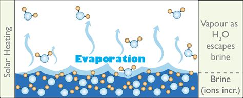 Physics Of Evaporation