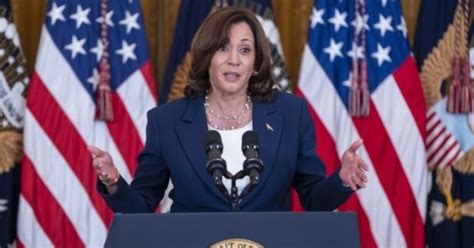 바이든 사퇴 해리스 부통령 美 민주당 새 대선후보 가능성 부각