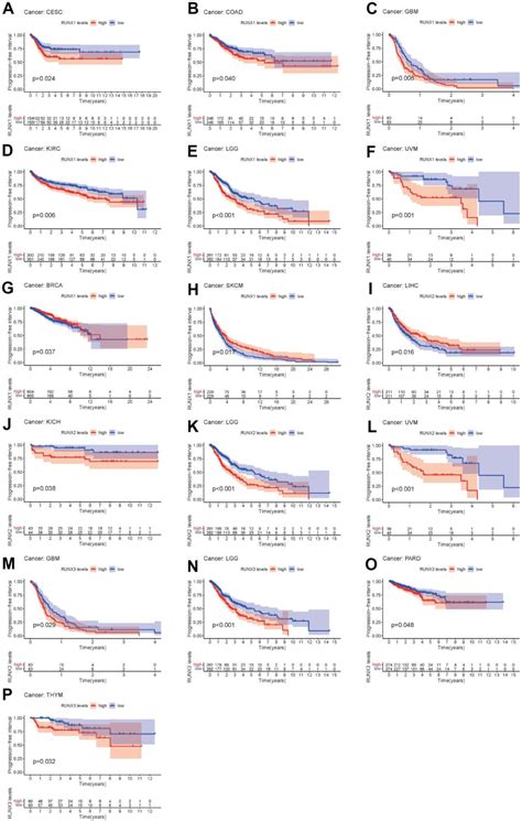 Figure 7 From Prognostic Value And Immune Characteristics Of Runx Gene