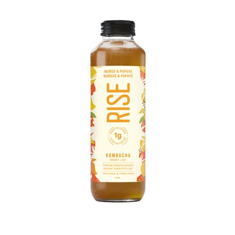 Rise Kombucha Details BevNET Brand Database BevNET