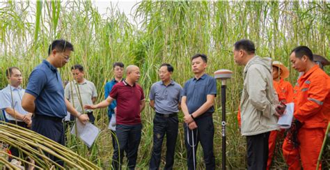国家林草局中南院在我省开展林草湿样地质量检查腾讯新闻