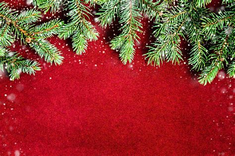 크리스마스와 새해 카드에 대한 소나무 가지와 아늑한 자연 배경 0명에 대한 스톡 사진 및 기타 이미지 0명 겨울 계절 Istock