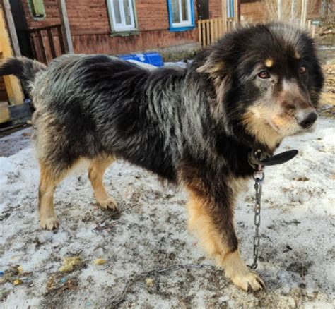 Ирина Немцова Шинкаренко ВКонтакте